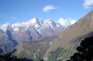 List of plants found on Mount Everest region the great Himalayan ranges